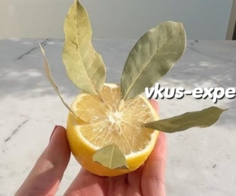 Varför ska man stoppa ett lagerblad i en citron? - Medianewse